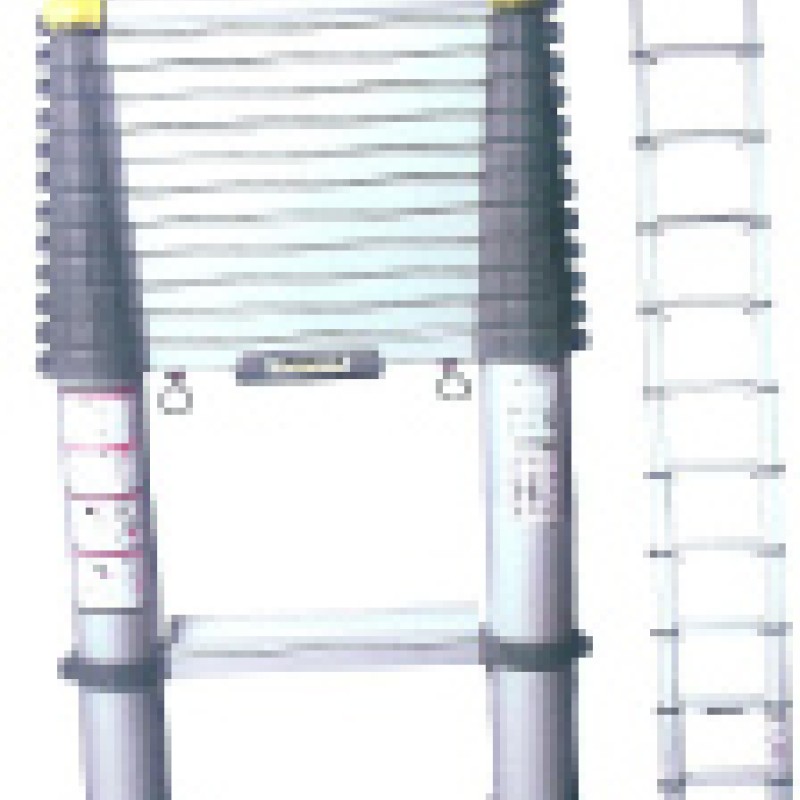 Werner rung space telescopic ladders